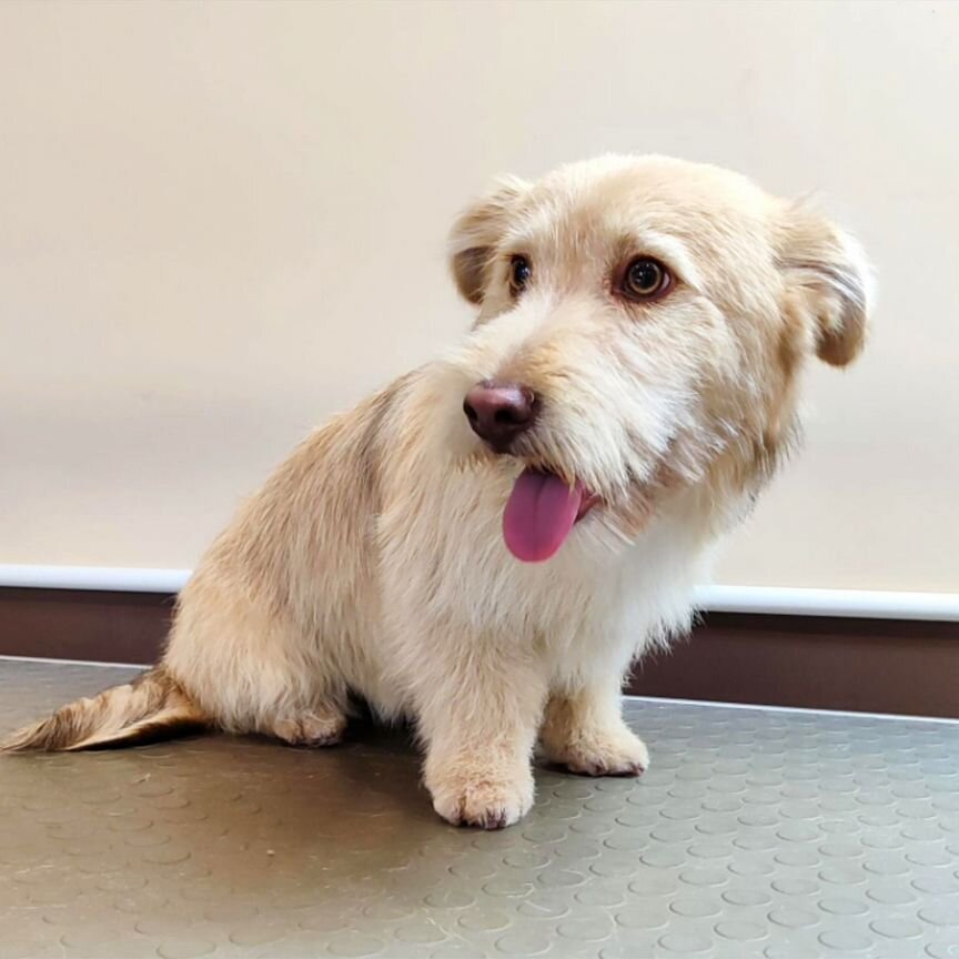 Дея ищет своего человека