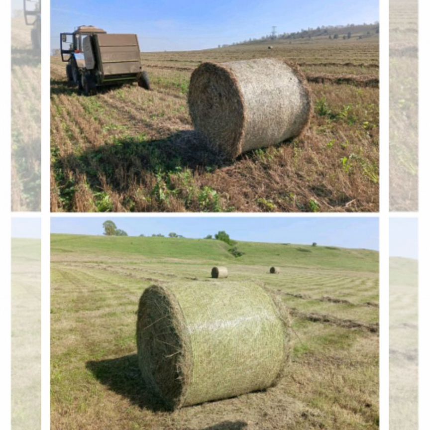 Солома в рулонах