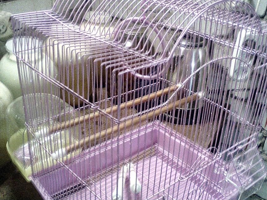 Клетка для попугая в дар N1