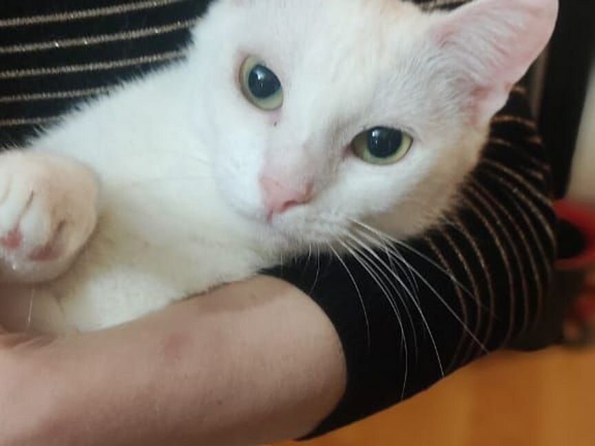 Красивая и невезучая