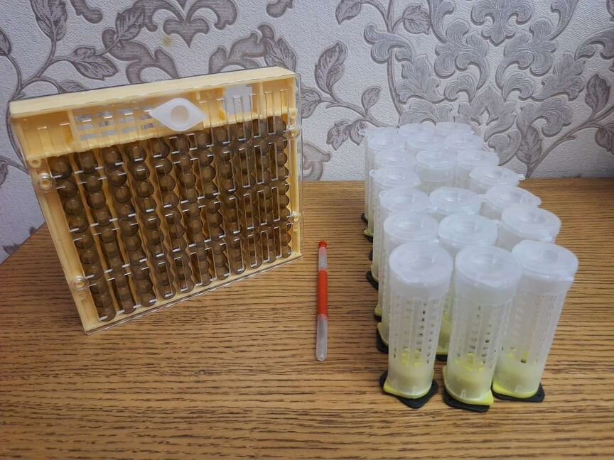 Система для вывода маток Никот