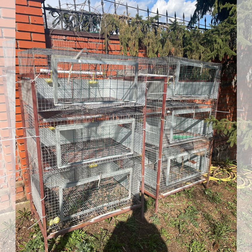 Клетки для курей