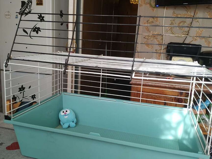 Клетки для морских свинок