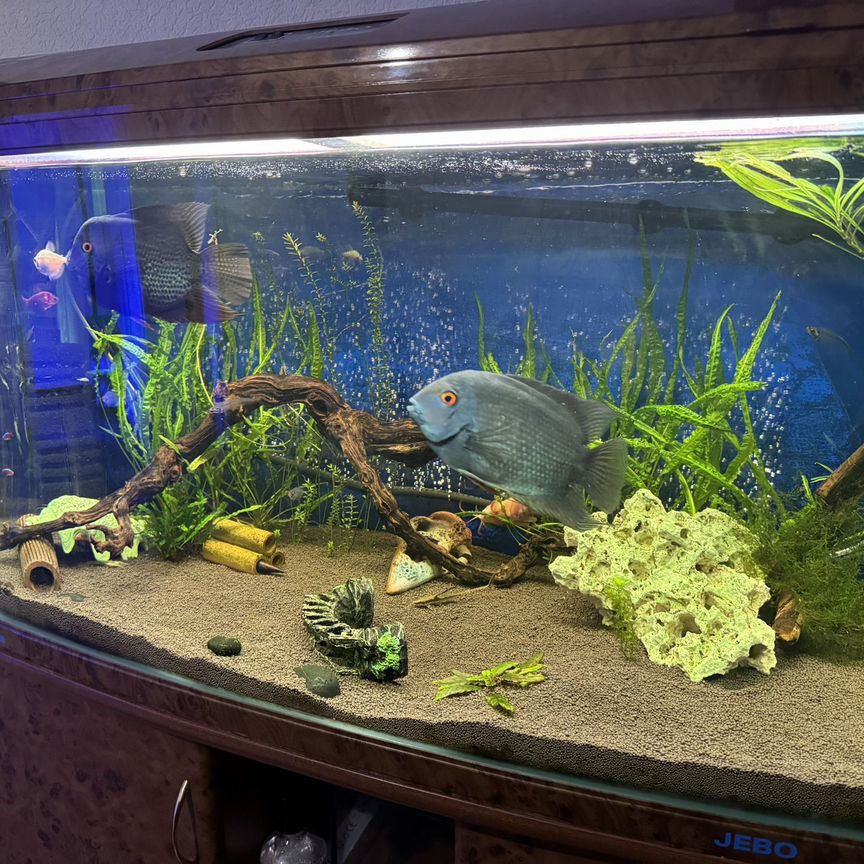 Аквариум 250л (полный комплект)