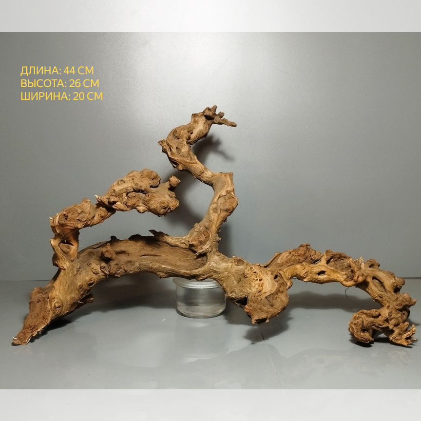 Коряга Bell Wood мангровая коряга 44*20*26 вк500