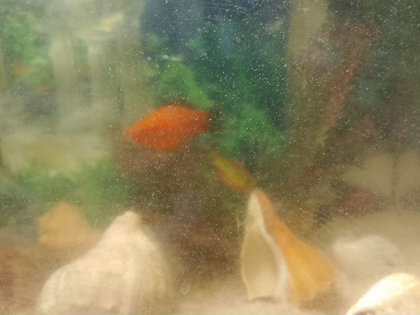 Аквариум с рыбками