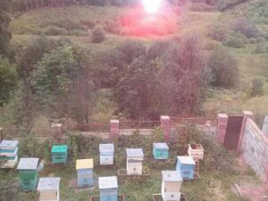 Продаю ульи