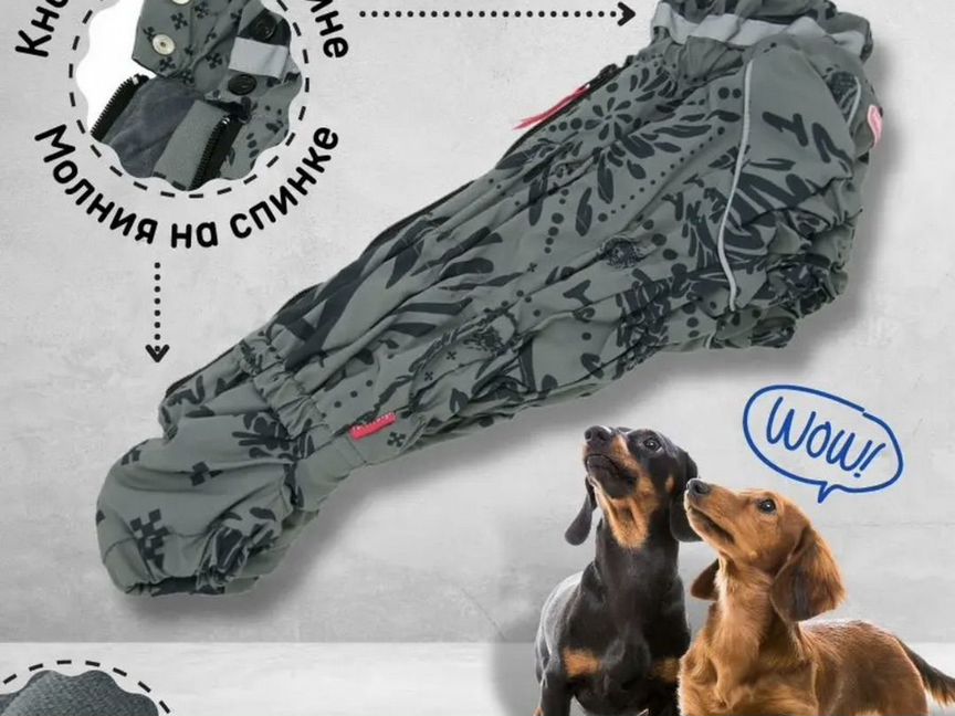 Зимний комбинезон таксе formydogs