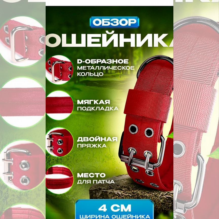 Ошейник для собак