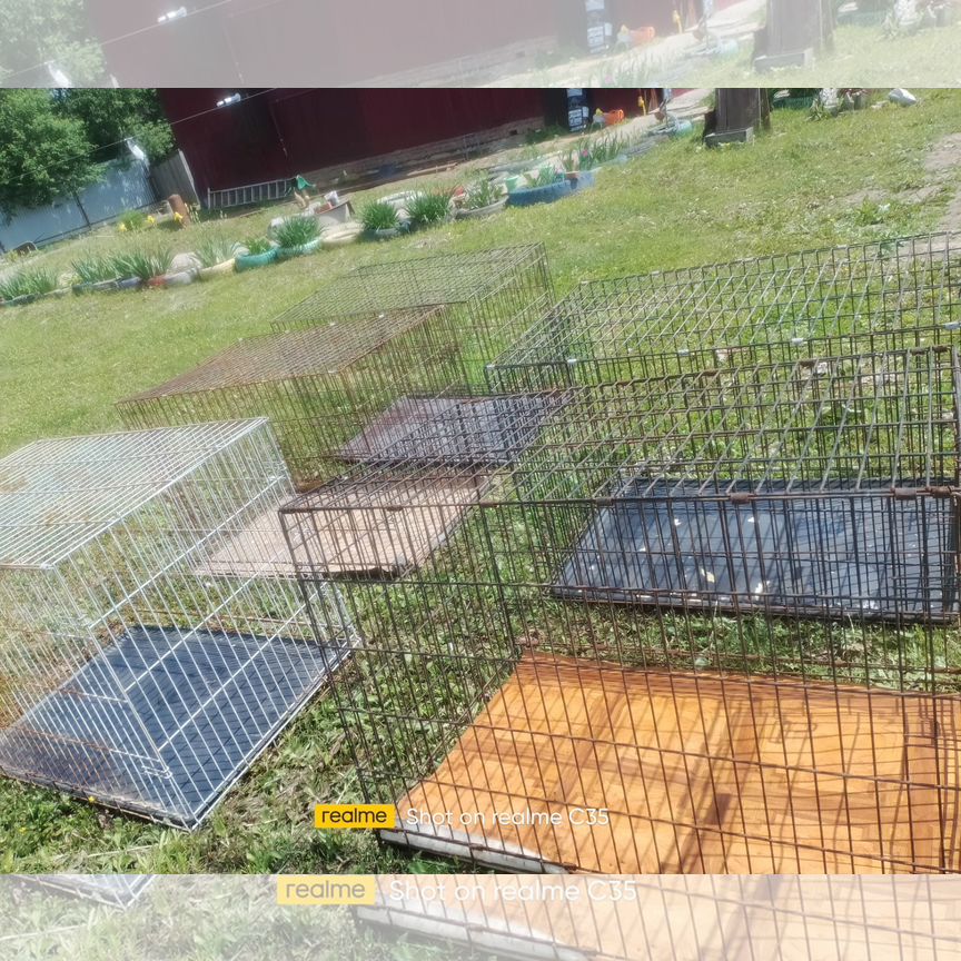 Клетка для собаки бу