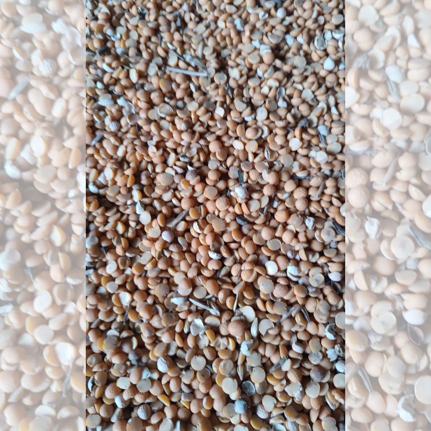 Отходы гороха