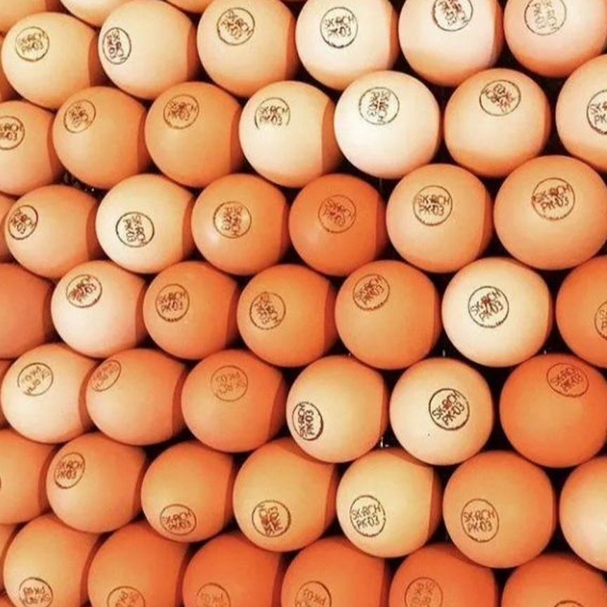 Инкубационное яйцо бройлера