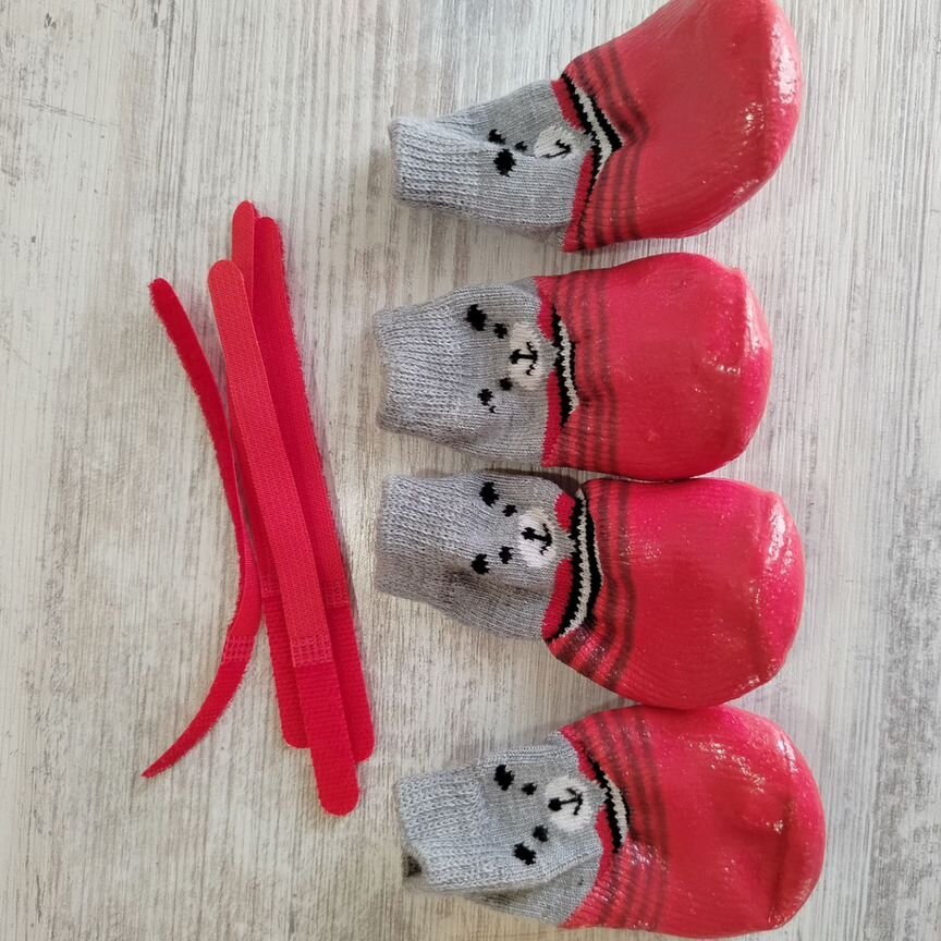 Обувь для собак мелких пород