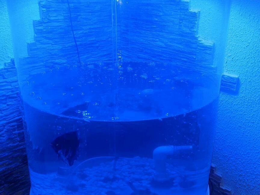 Аквариум цилиндрический 150л