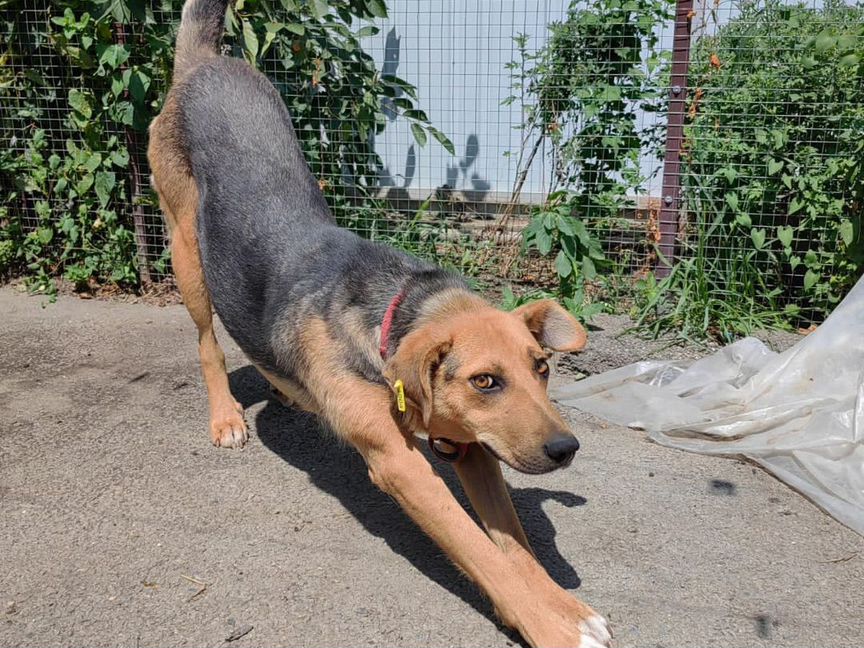 Хорошей девочке нужна семья