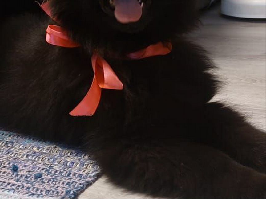 Немочка неземной красоты