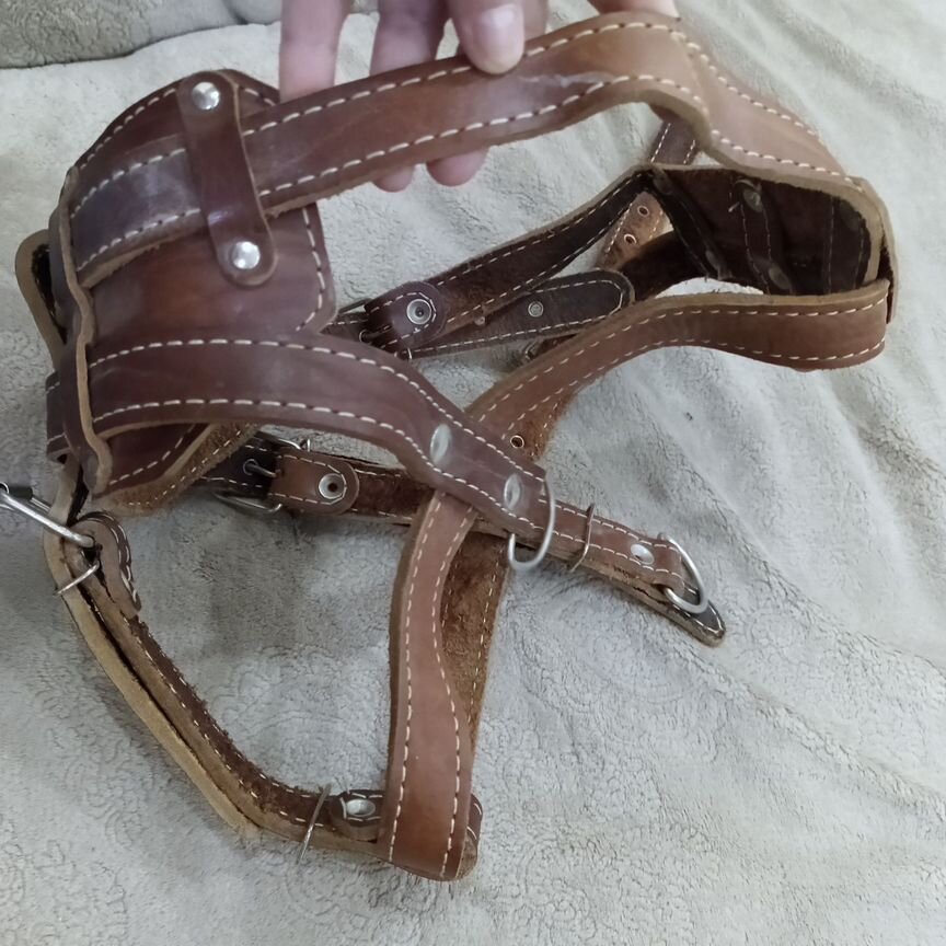 Упряжка для собак