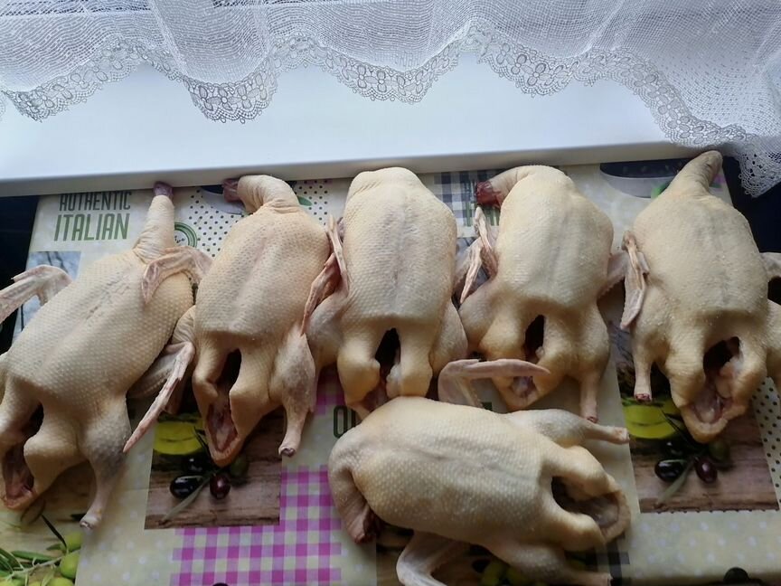 Гуси