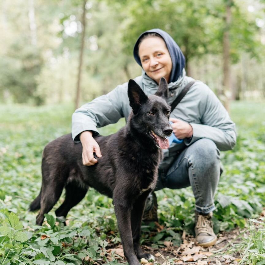 Пристройство