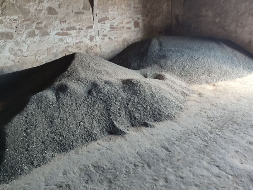 Семечки подсолнечника для птиц