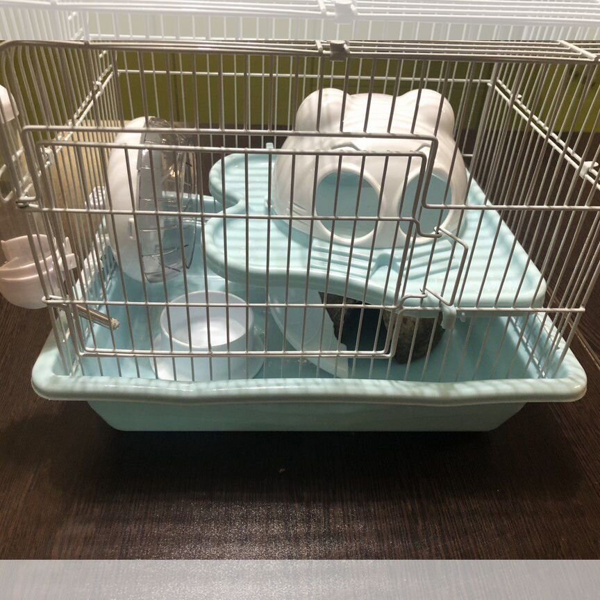 Клетка, шар и остатки корма для хомяка