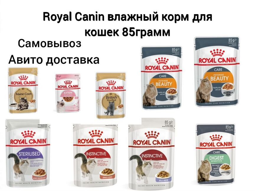 Влажный корм Royal Canin 85гр