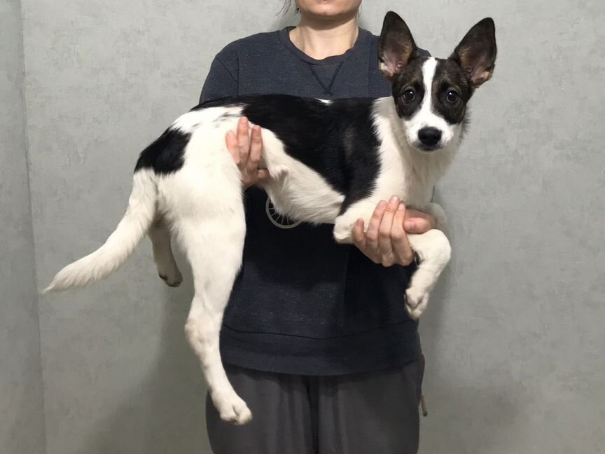 Прекрасный цветочек