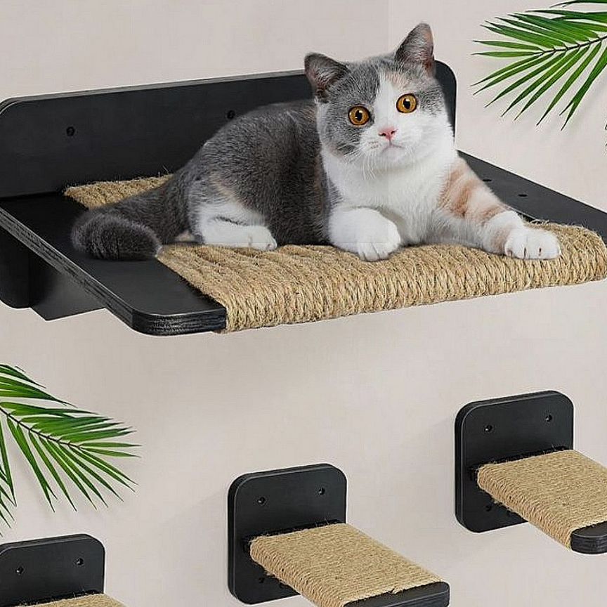 Игровые комплексы для кошек