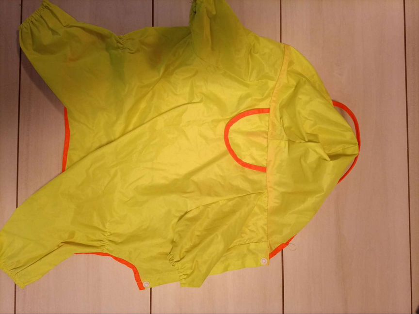 Одежда для собак