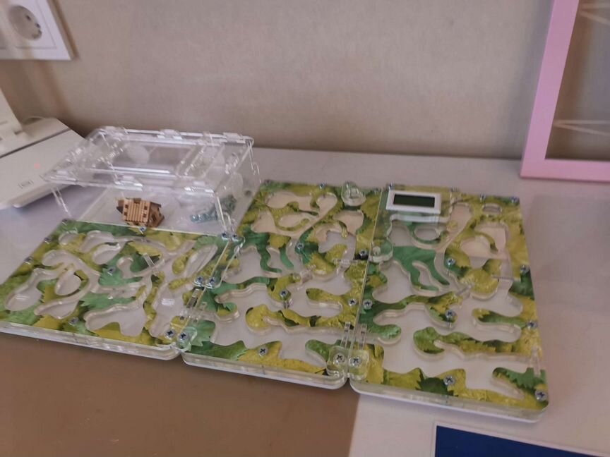 Продам формикарий. 3 секции