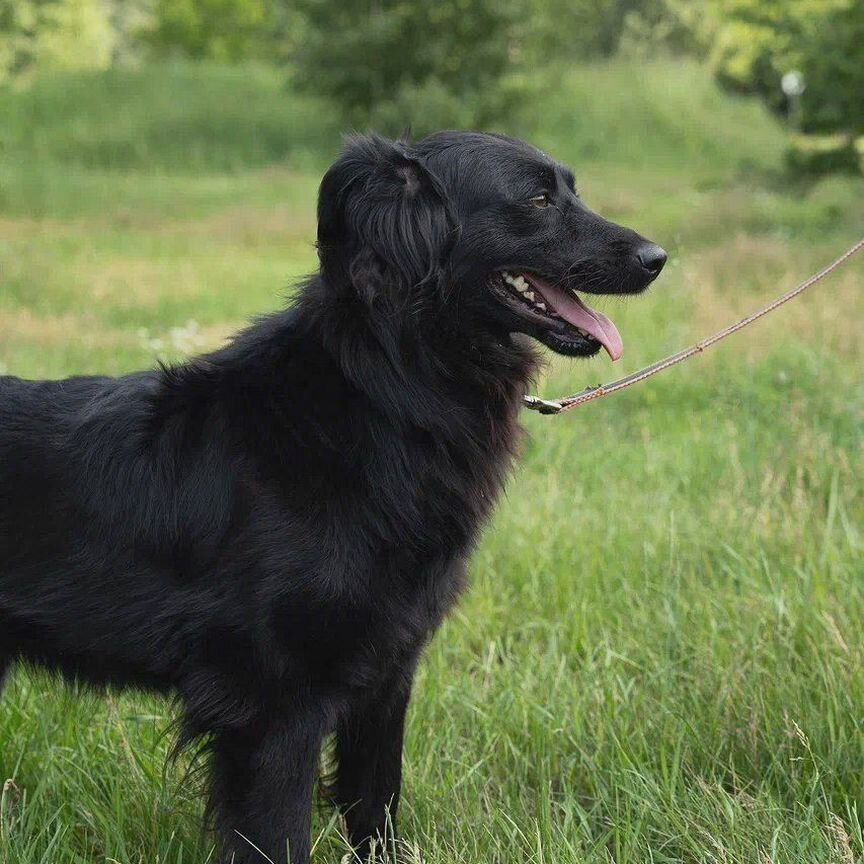 Шикарная Наоми грустит в приюте