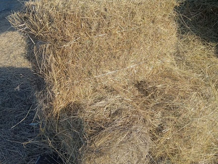 Сено в тюках