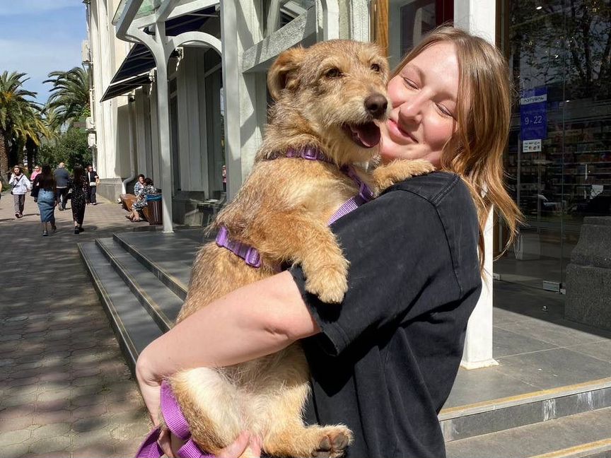 Собака в добрые руки отдам бесплатно