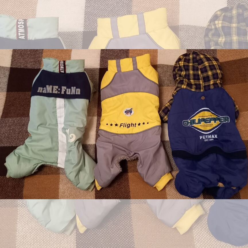 Одежда для маленьких собак