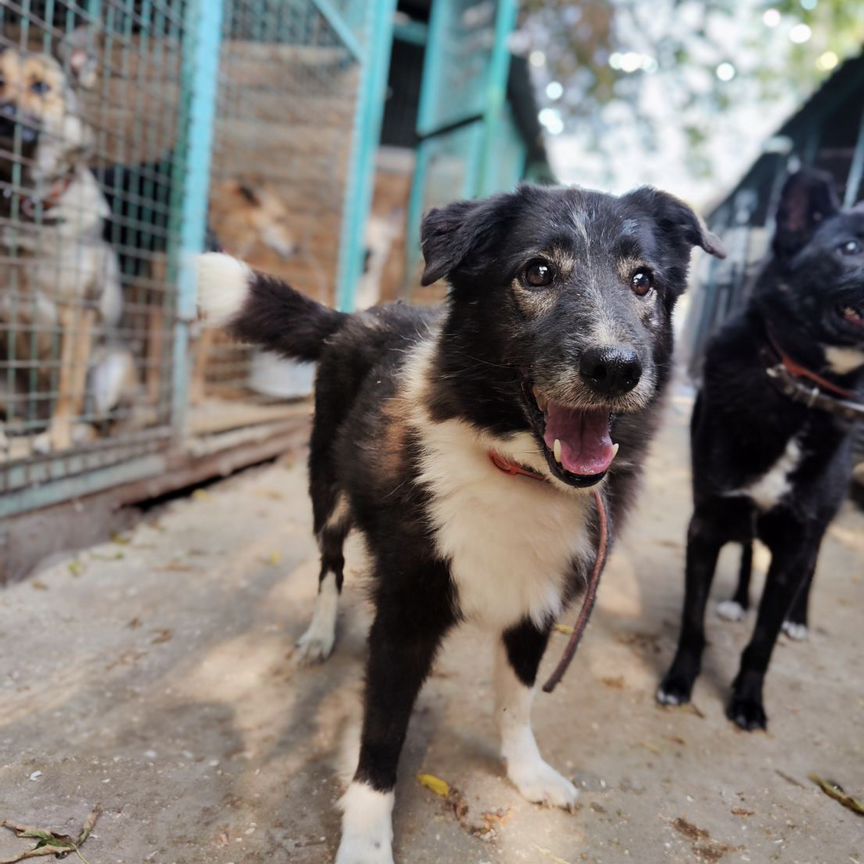 Она старенькая и такая добрая
