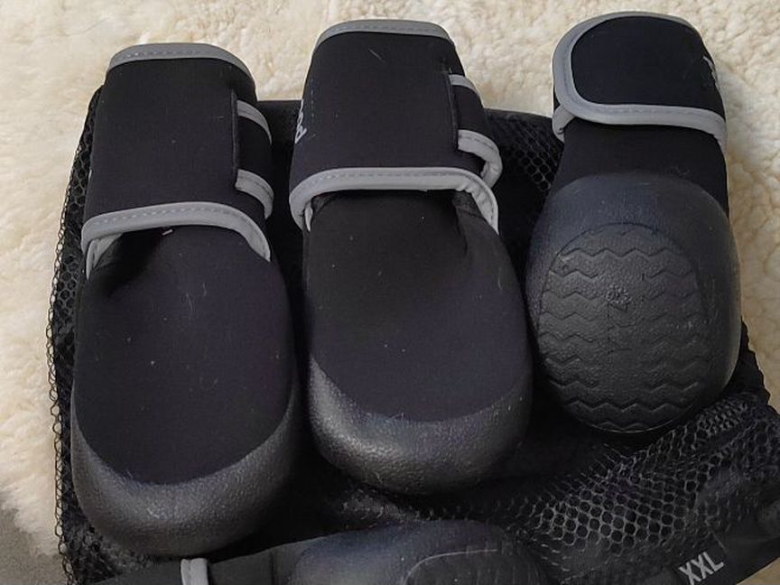 Обувь для собак