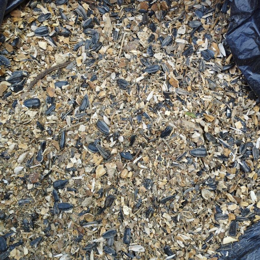 Отходы семечки