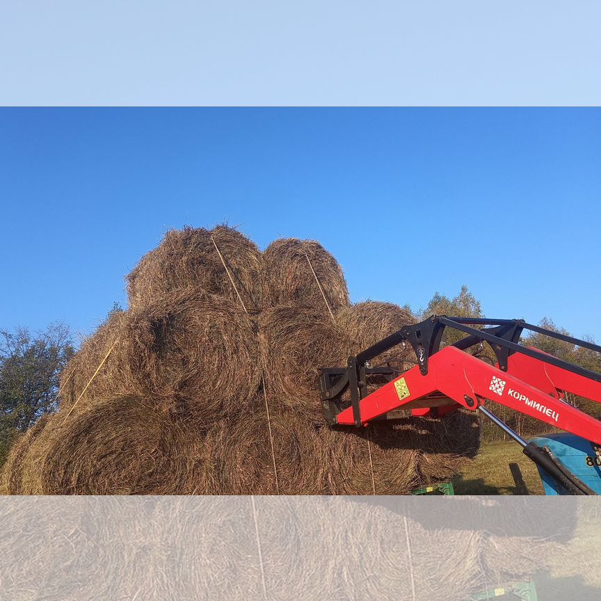 Продам сено в рулонах