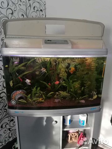 Аквариум с тумбой jebo R375 купить в Щиграх | Животные и зоотовары | Авито