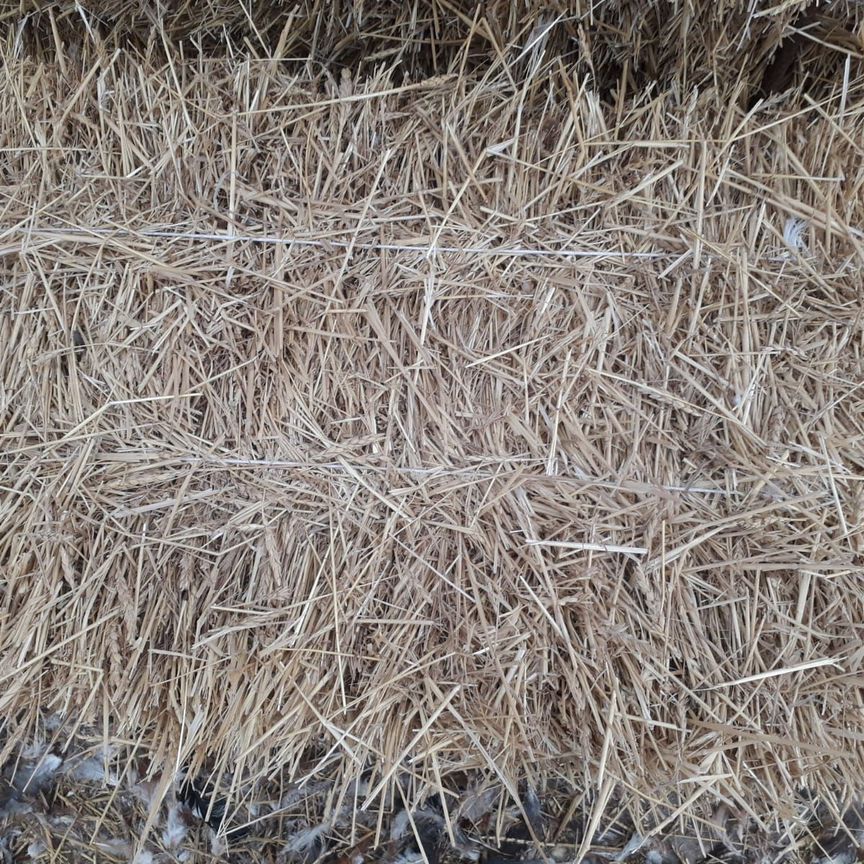 Солома в тюках