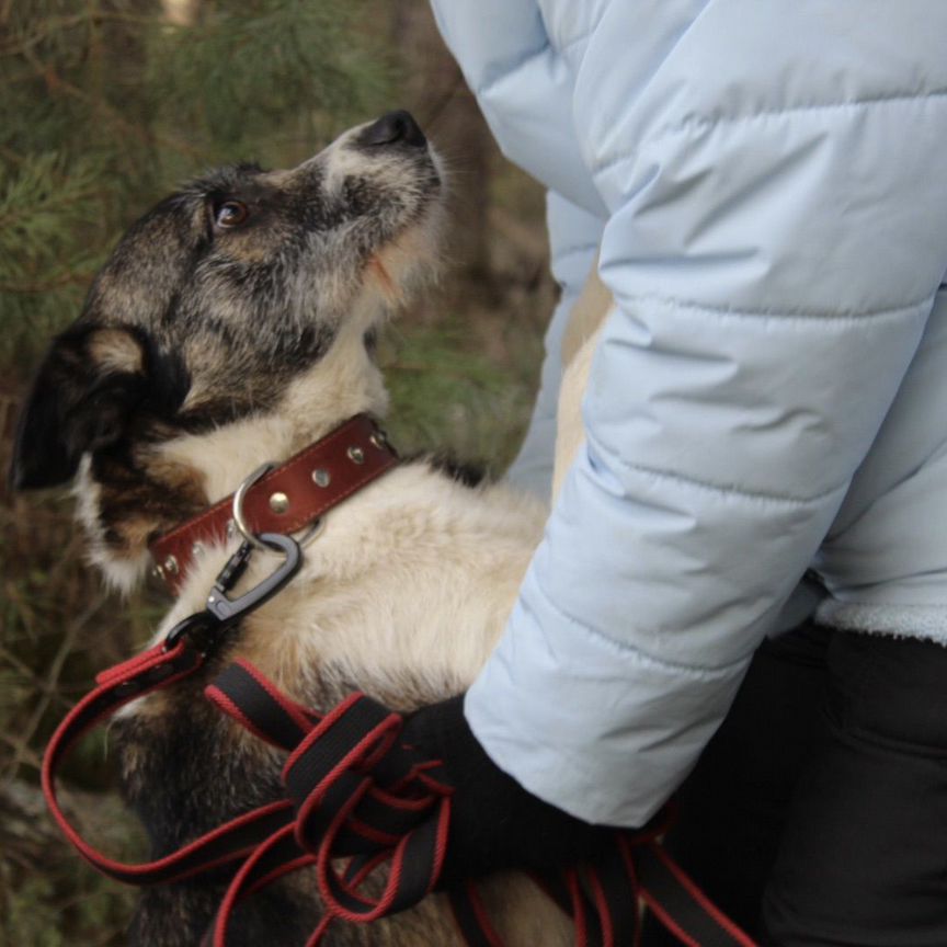 Ласковая нежная девочка