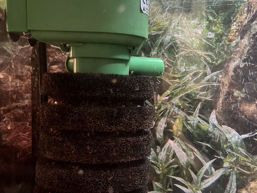 Помпа barbus и компрессор