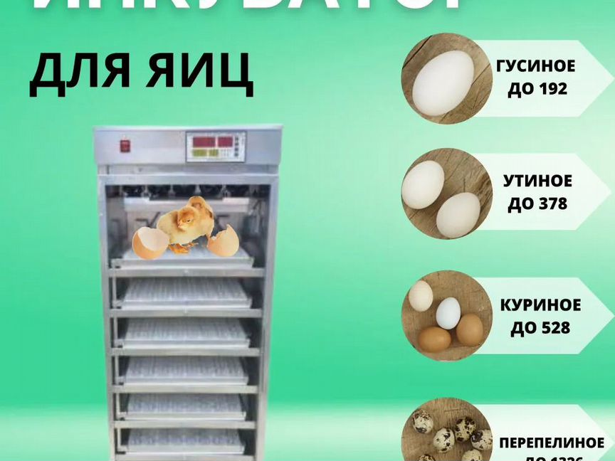Инкубатор на 528 куриных яиц