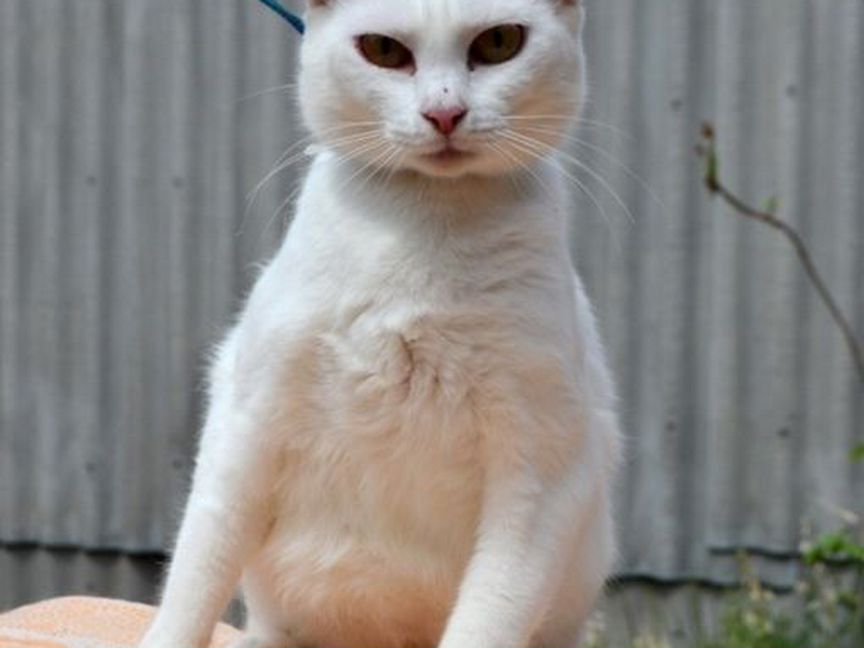 Кэти хочет домой