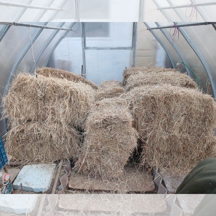 Сено в брикетах