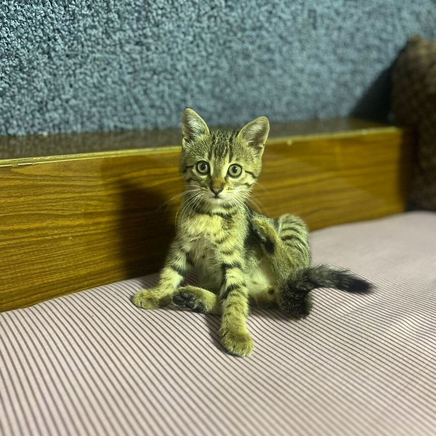 Ну прям настоящий полковник