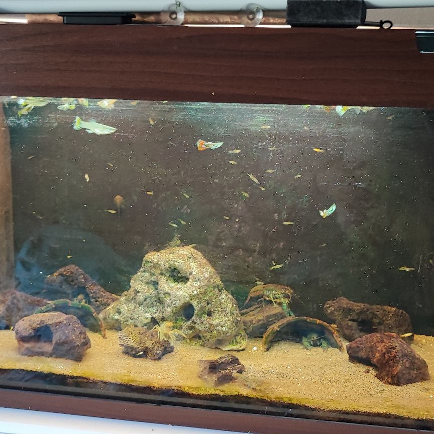 Аквариум juwel 180