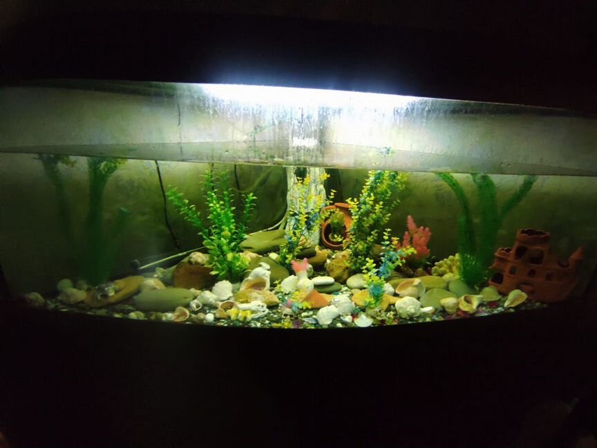 Аквариум с тумбой 500 литров угловой