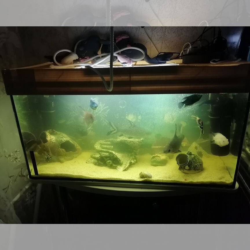 Аквариум с тумбой 150л