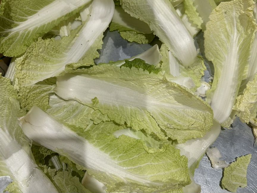 Пекинская капуста листь для животных